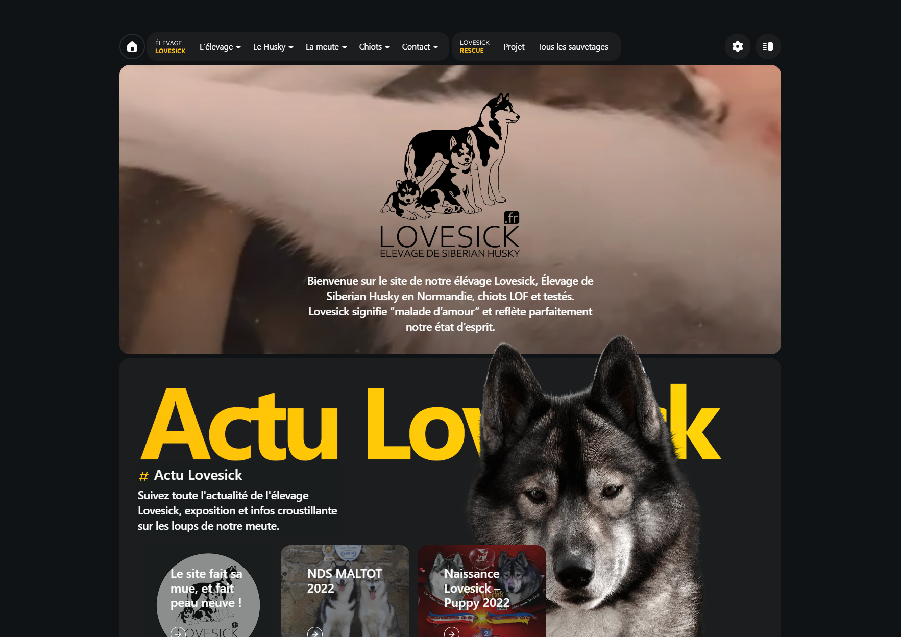 Le site fait sa mue, et fait peau neuve ! - Lovesick